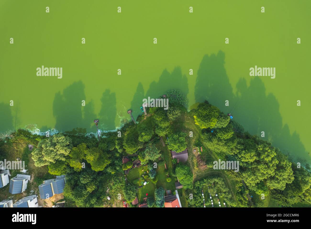Top down view of green water lake Stock Photo - Alamy