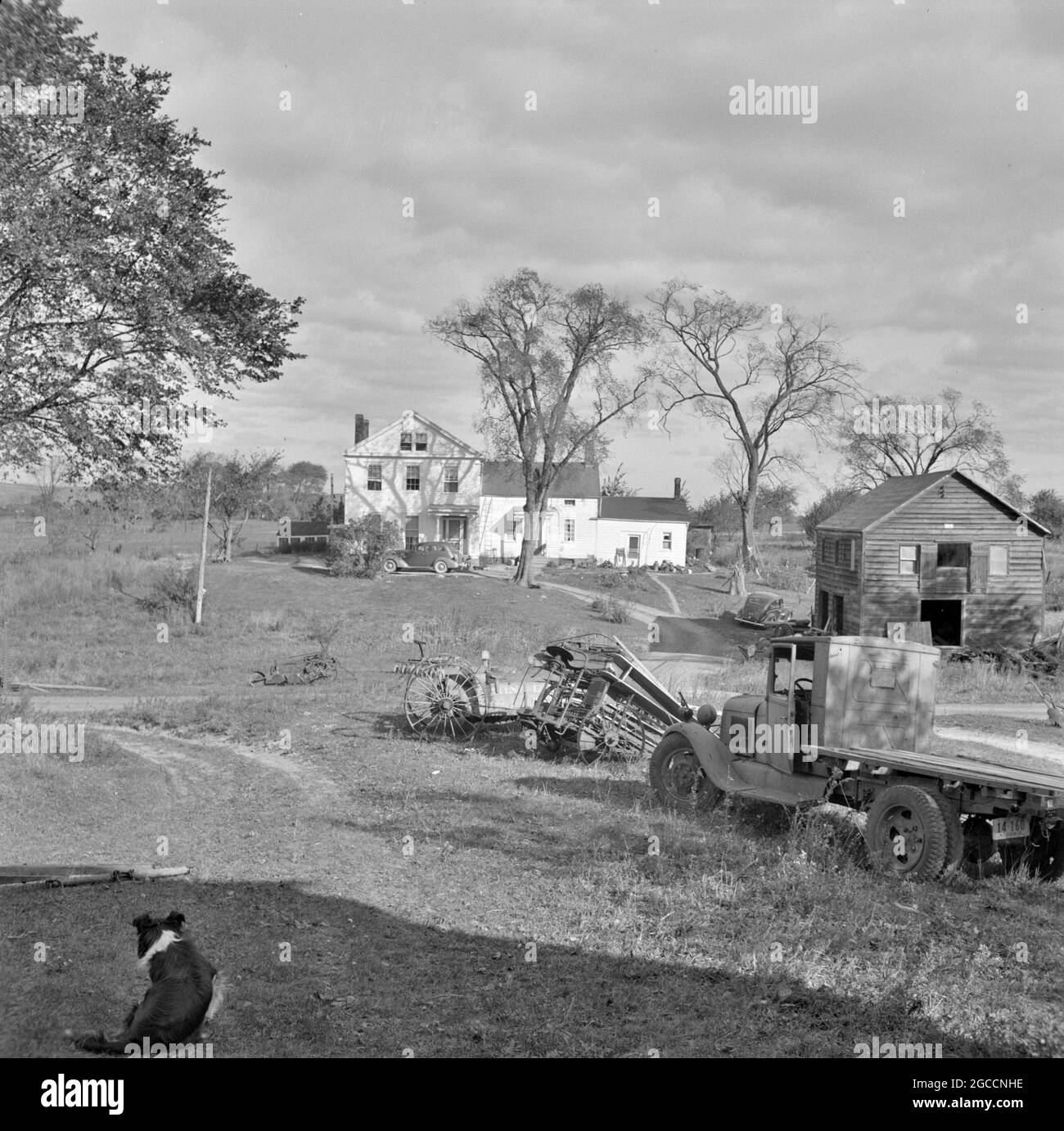 photo, archive, photograph, photography, background, memory, vintage ...