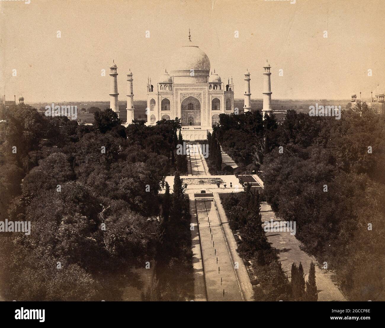 photo, archive, photograph, photography, background, memory, vintage ...