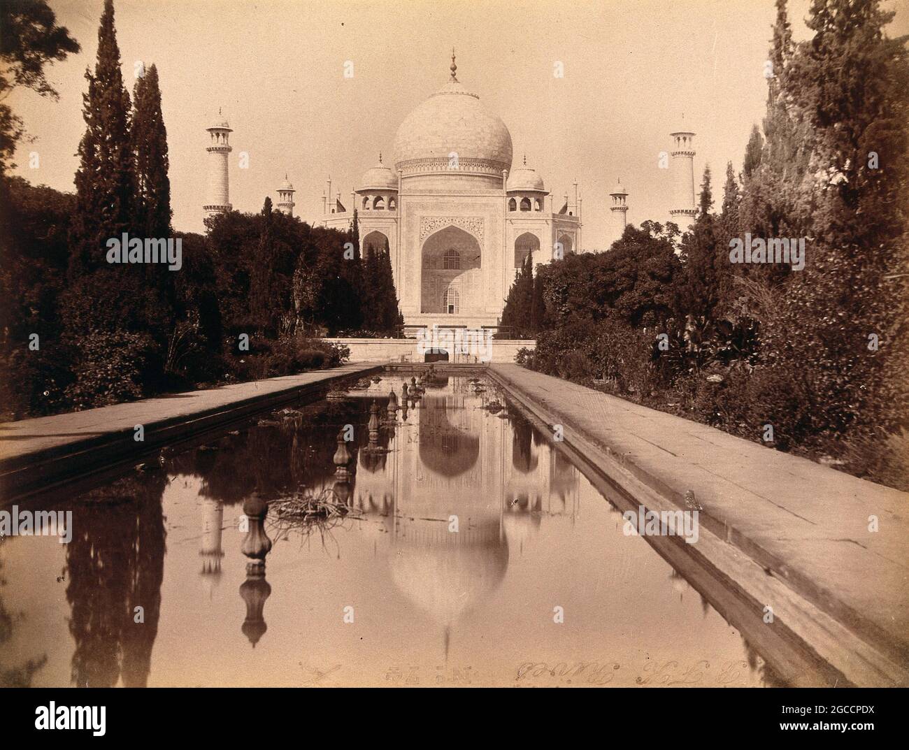 photo, archive, photograph, photography, background, memory, vintage ...