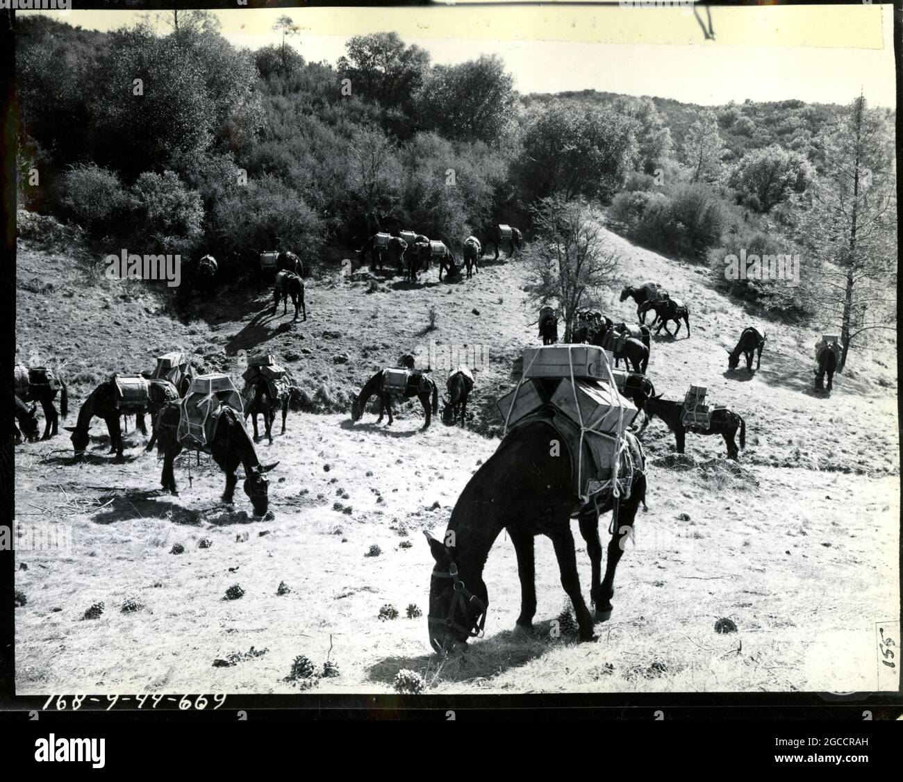 photo, archive, photograph, photography, background, memory, vintage ...