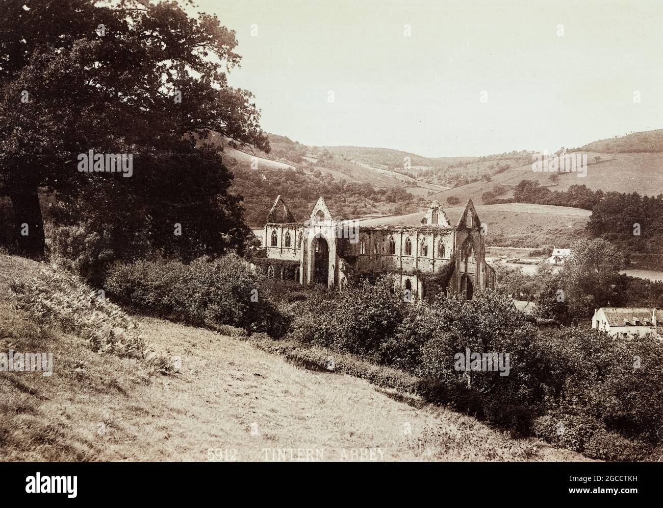 photo, archive, photograph, photography, background, memory, vintage ...