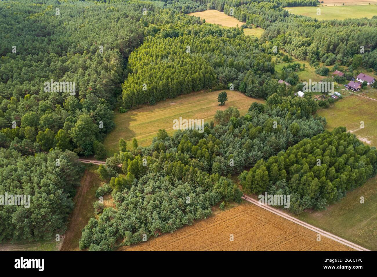 Aerial view of fields on polish countryside Stock Photo - Alamy