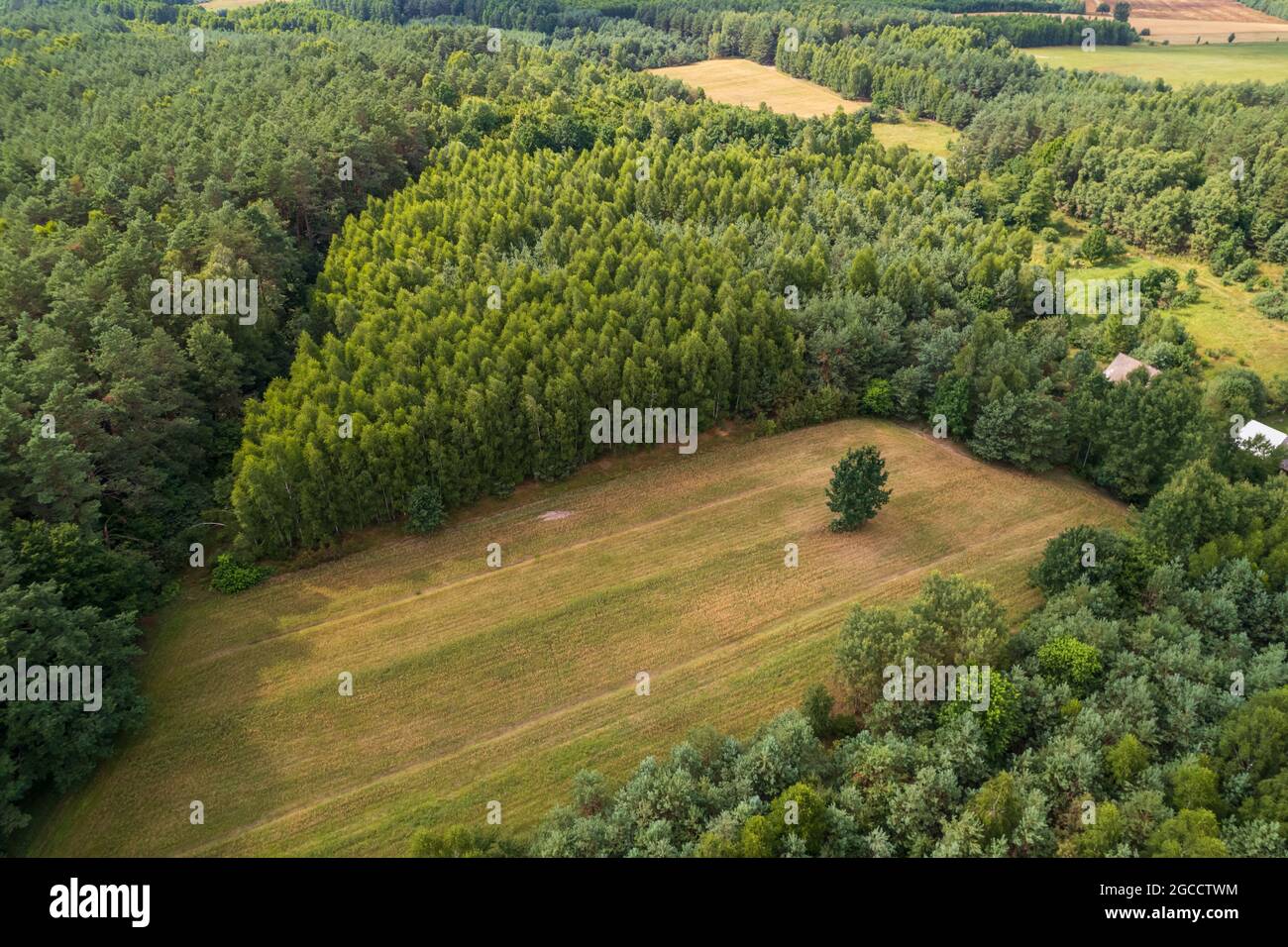 Aerial view of fields on polish countryside Stock Photo - Alamy