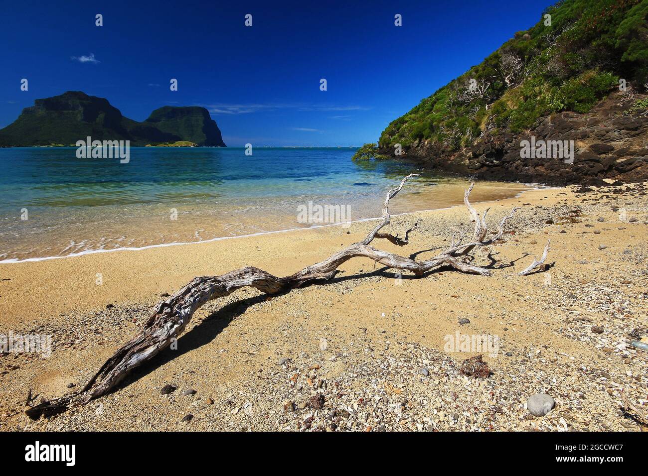 a rocky beach and branch next to a body of water Stock Photo - Alamy