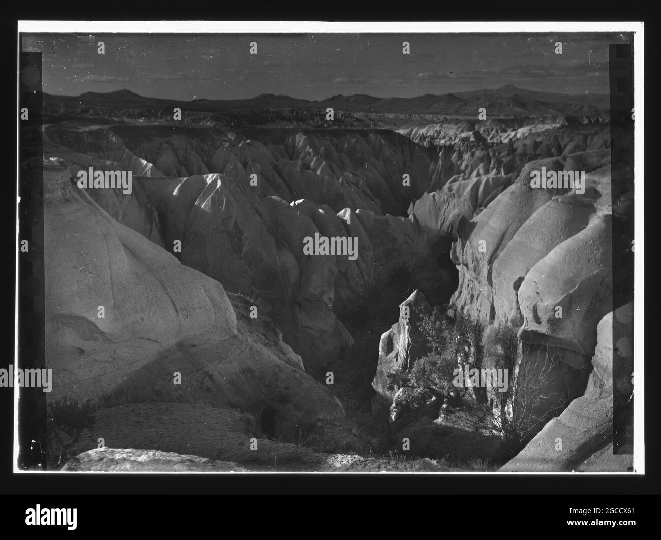 photo, archive, photograph, photography, background, memory, vintage ...