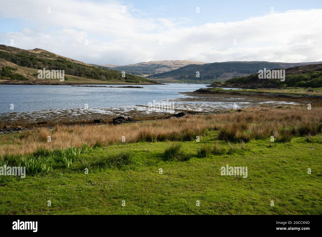 Scenic coastal landscape with sea loch and hills on Isle of Carna ...