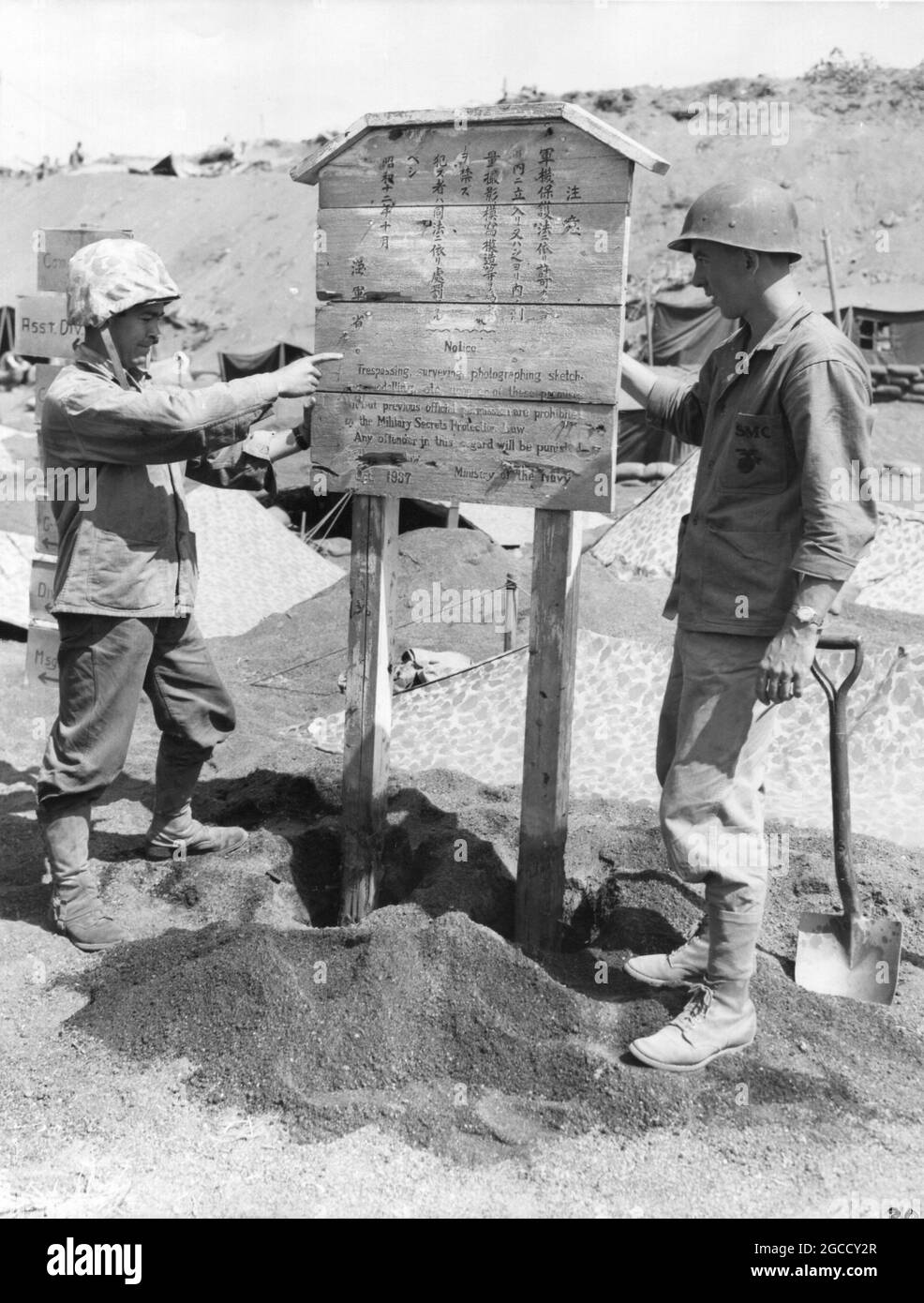 photo, archive, photograph, photography, background, memory, vintage ...