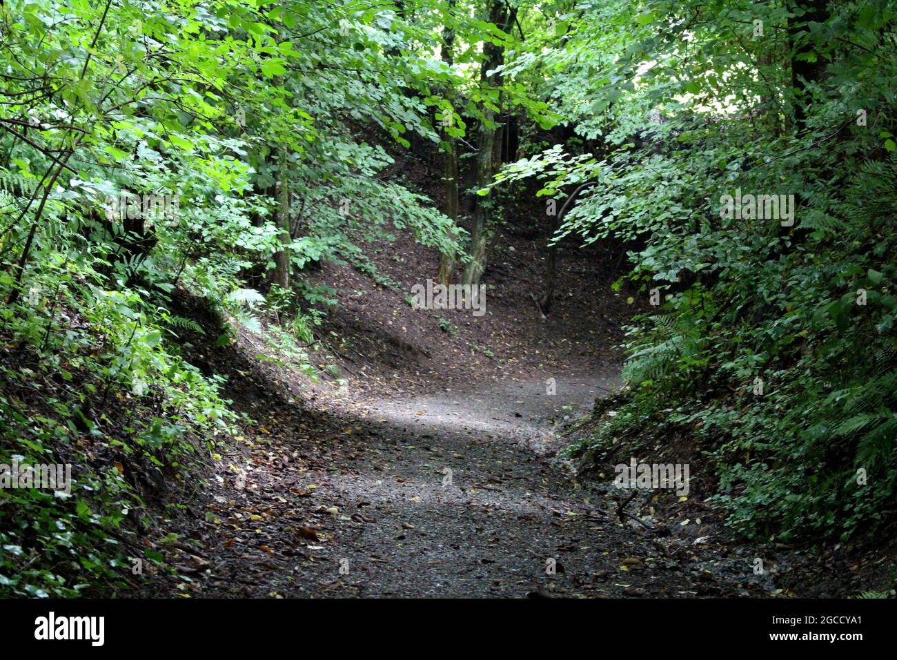 Sunken lane hi-res stock photography and images - Alamy