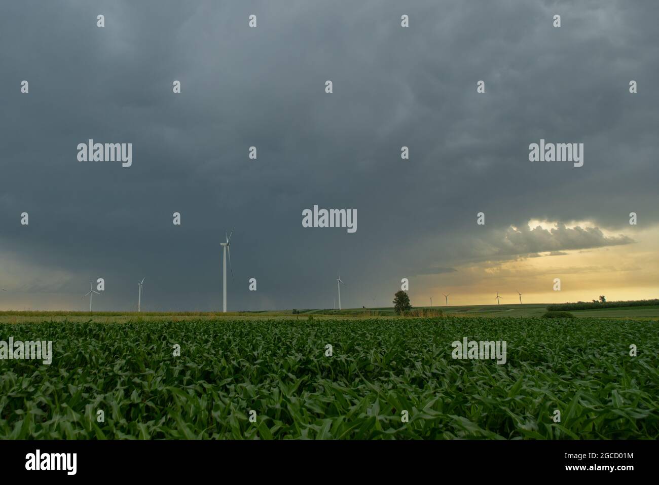 Poland renewable energy hi-res stock photography and images - Alamy