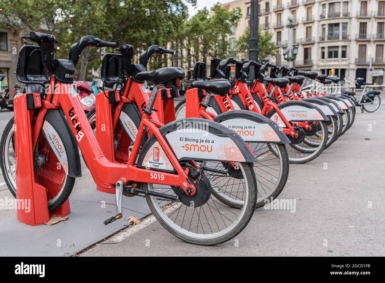 Smou hi-res stock photography and images - Alamy