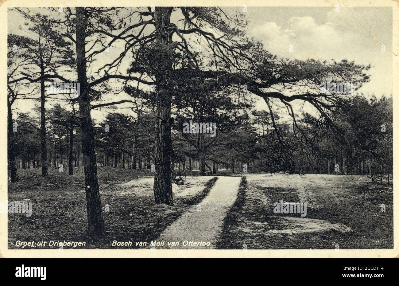 photo, archive, photograph, photography, background, memory, vintage ...