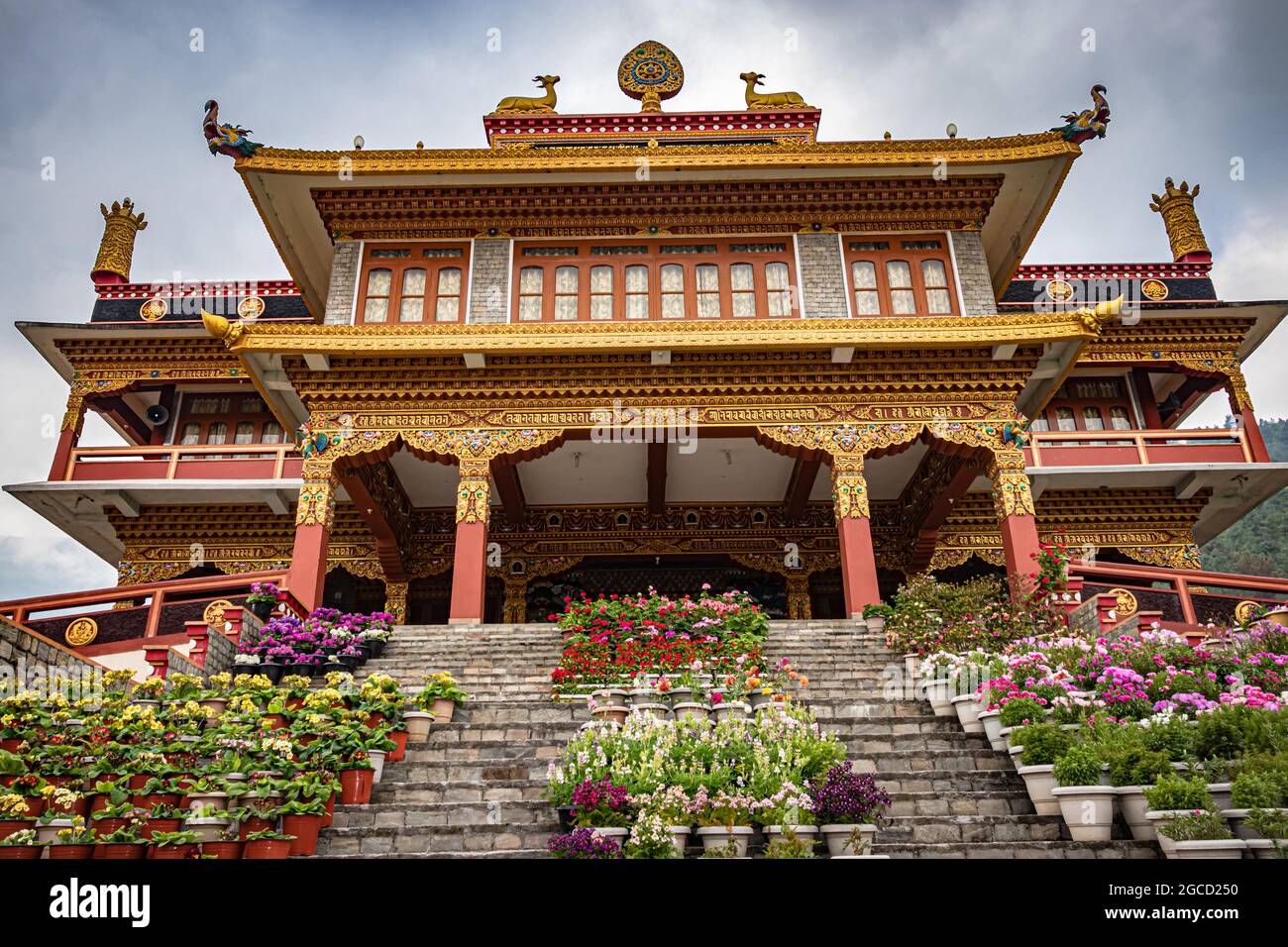 Buddhist monastery decorated with many plants at morning from low angle ...
