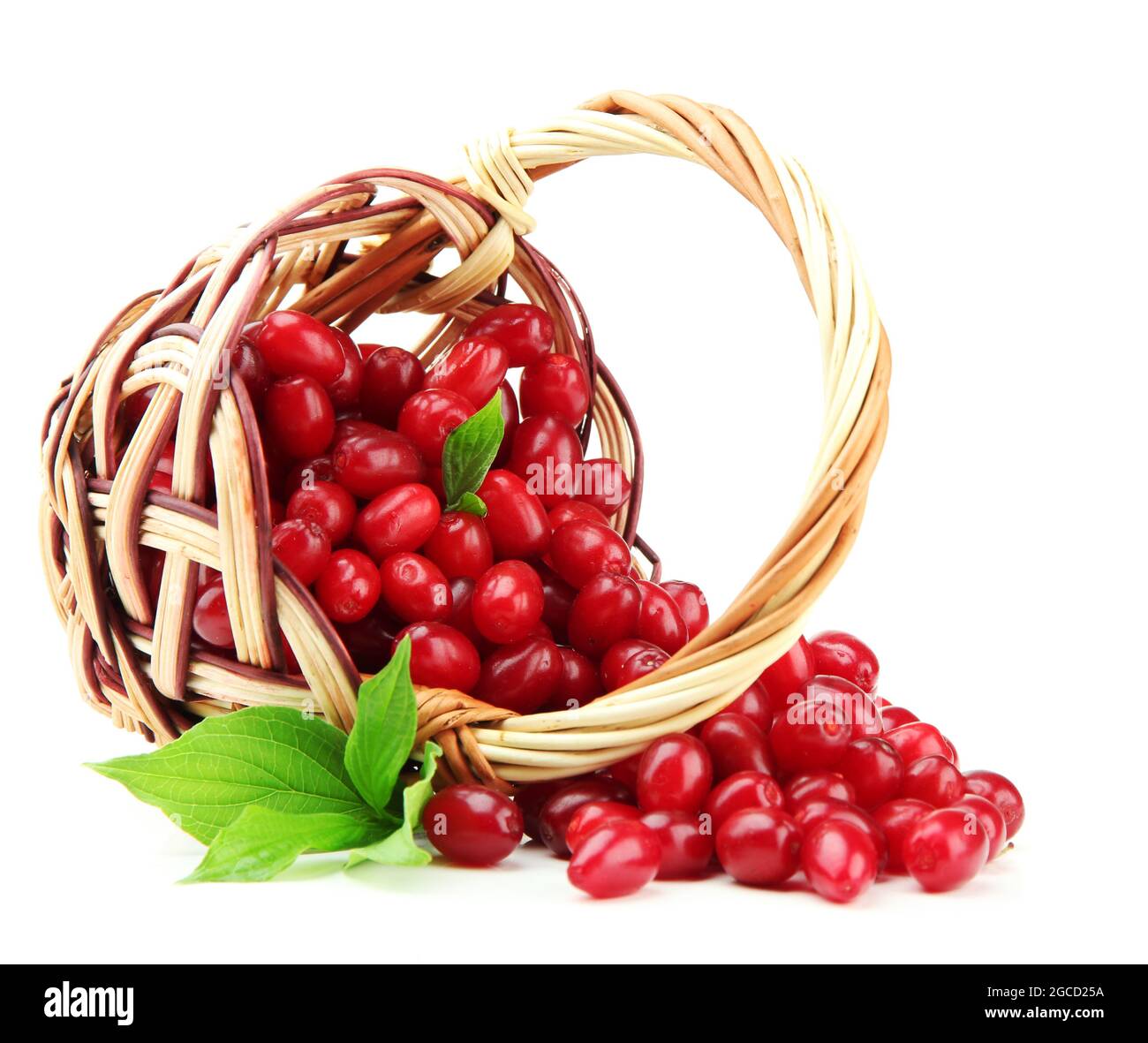 Fresh cornel berries in wicker basket, isolated on white Stock Photo ...