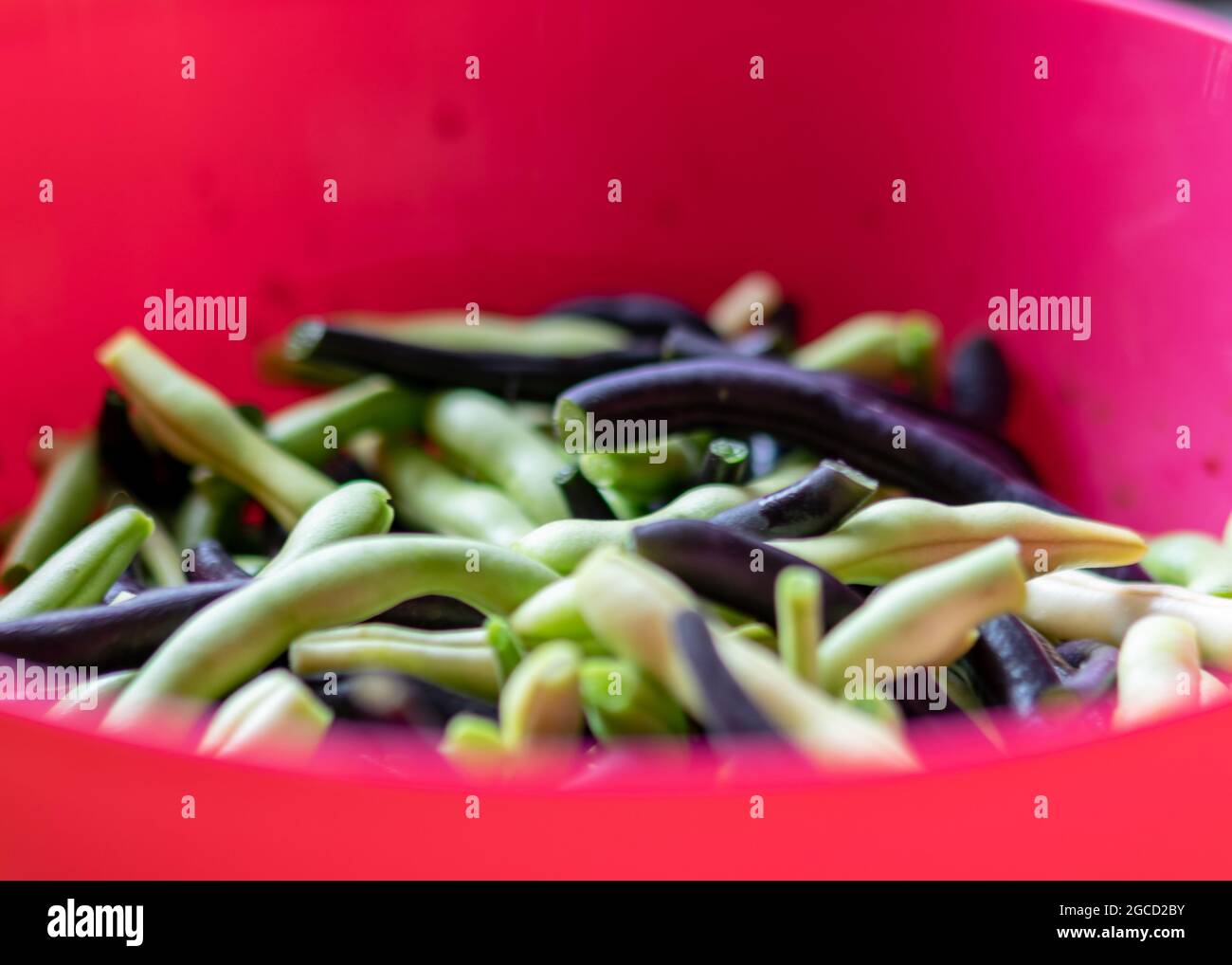 different colors and sizes of cut butter bean fragments in a bright red ...