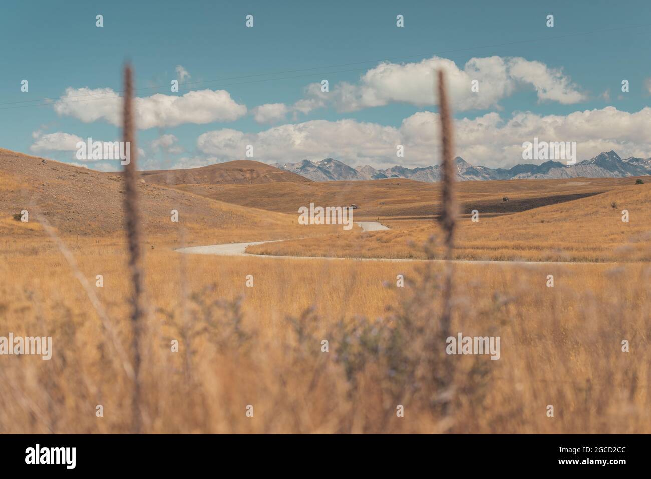 Random road in New Zealand south island Stock Photo - Alamy