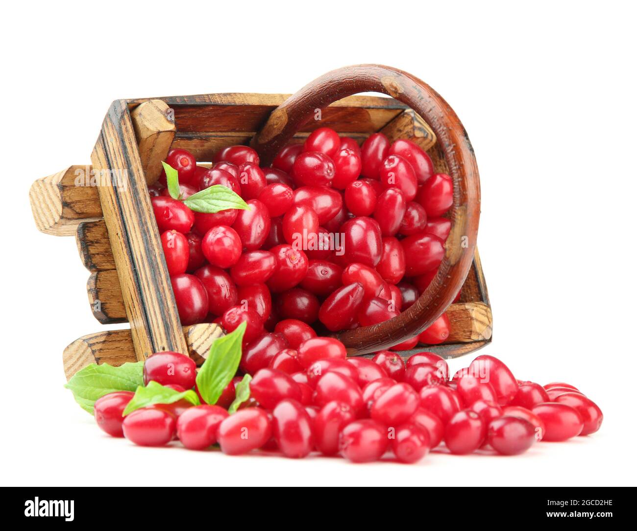 Fresh cornel berries in wooden basket, isolated on white Stock Photo ...