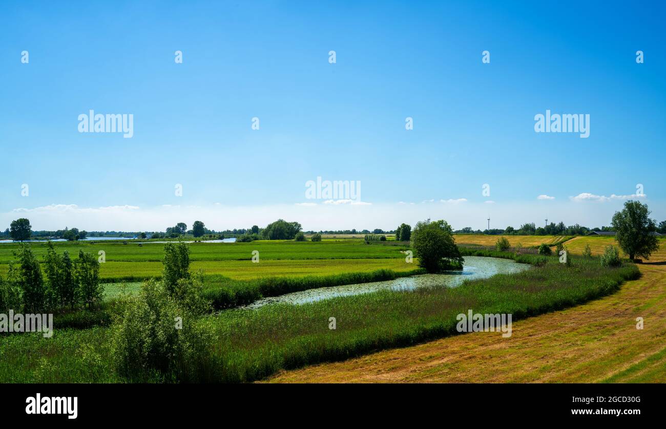 Panoramic landscape at the river Lek (Rhine), Netherlands Stock Photo ...