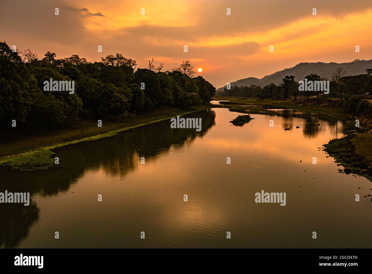 At assam india hi-res stock photography and images - Alamy