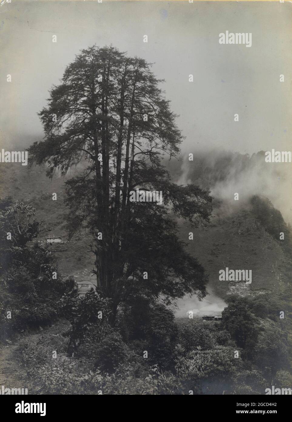 photo, archive, photograph, photography, background, memory, vintage ...