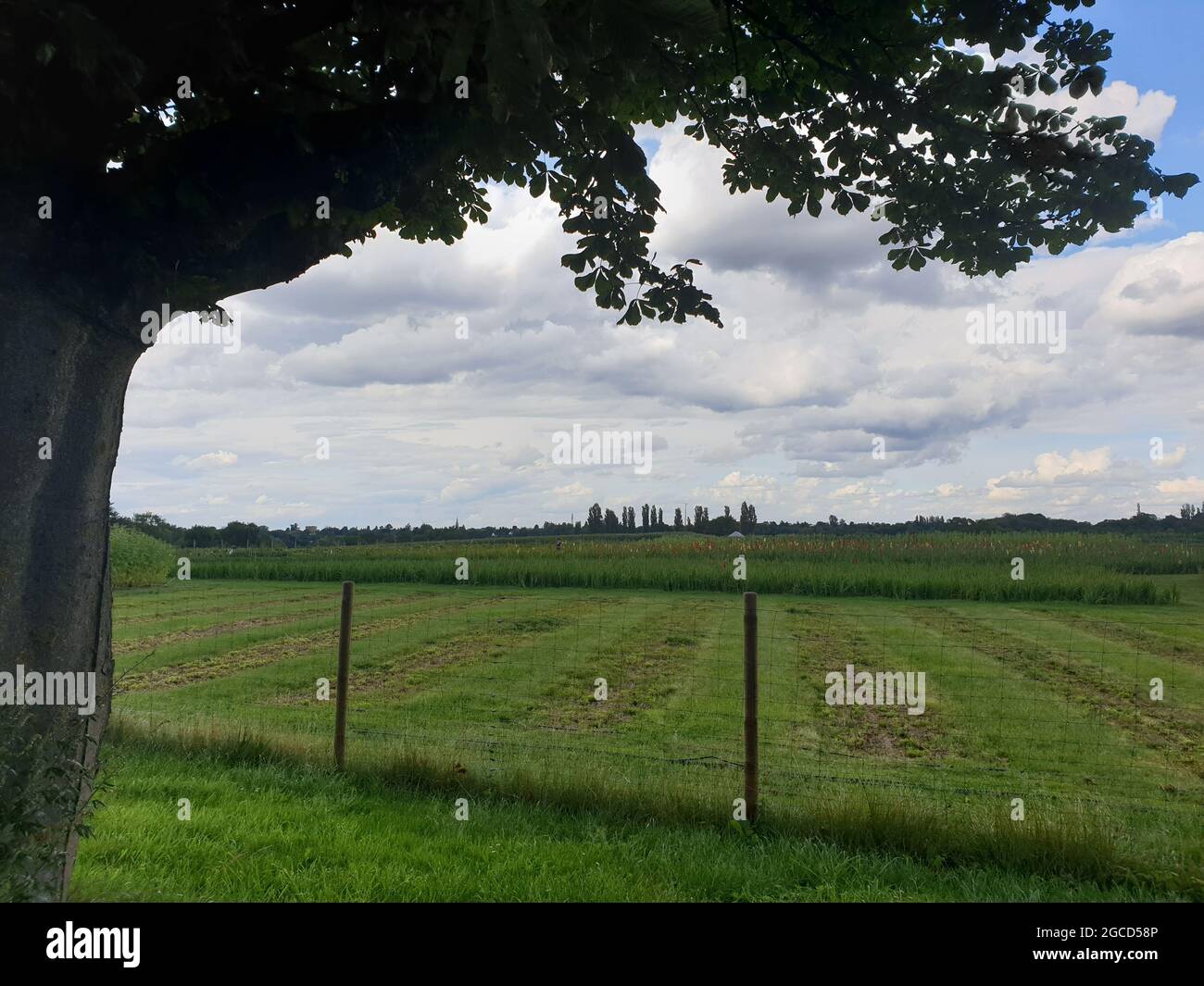 Landscape Protection Area in Mülheim, Germany Stock Photo - Alamy