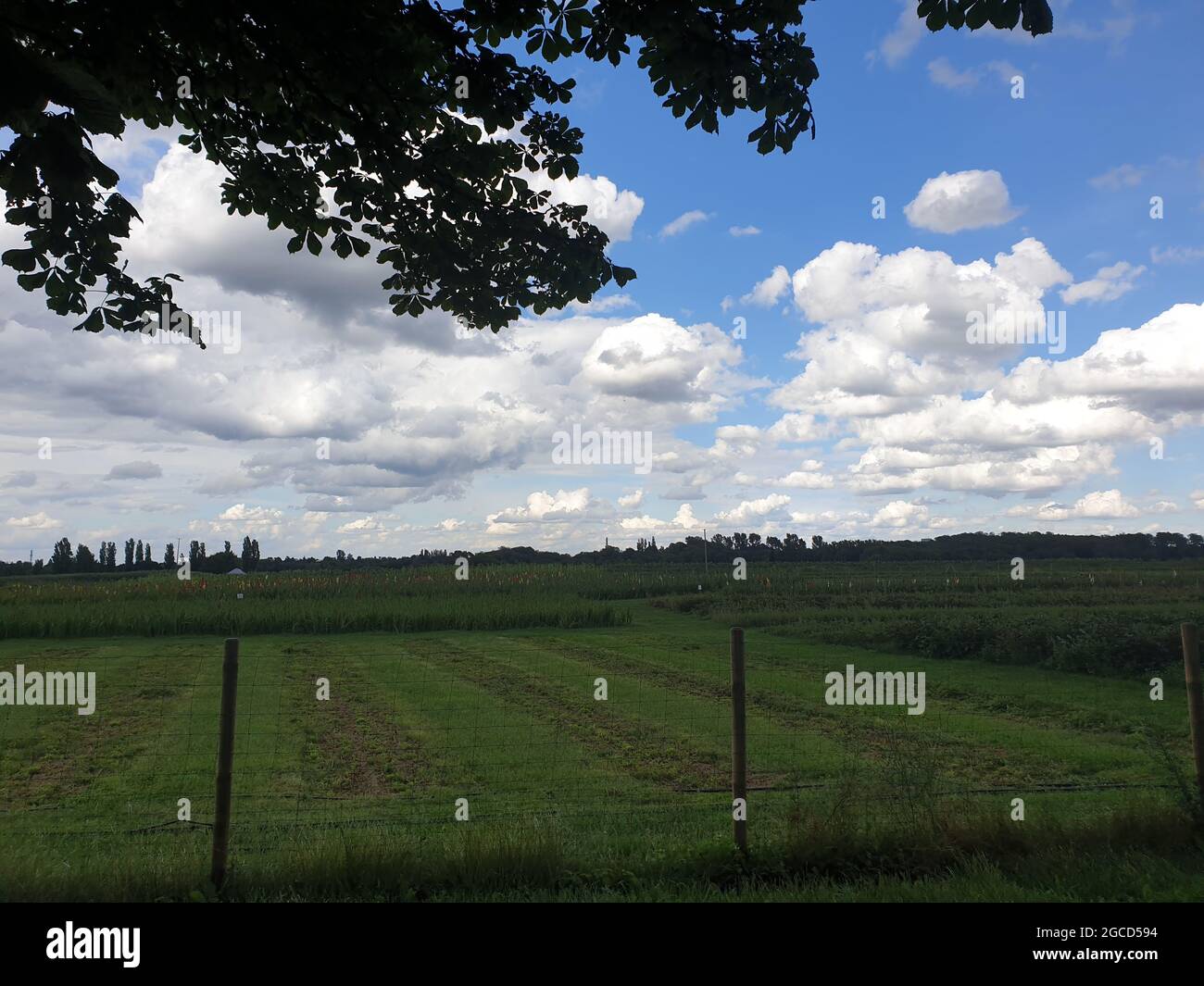 Landscape Protection Area in Mülheim, Germany Stock Photo - Alamy