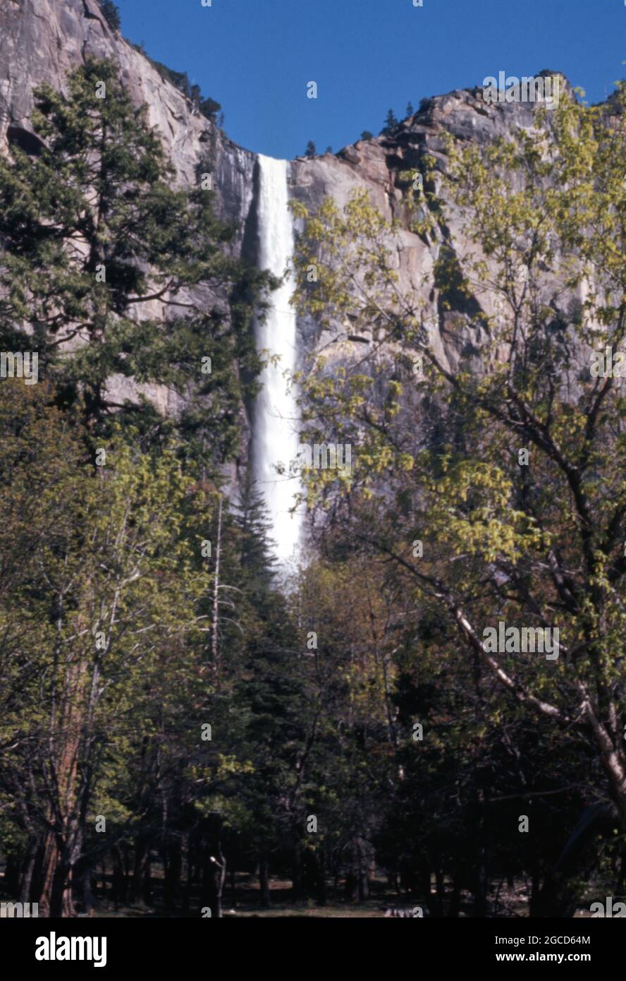 photo, archive, photograph, photography, background, memory, vintage ...