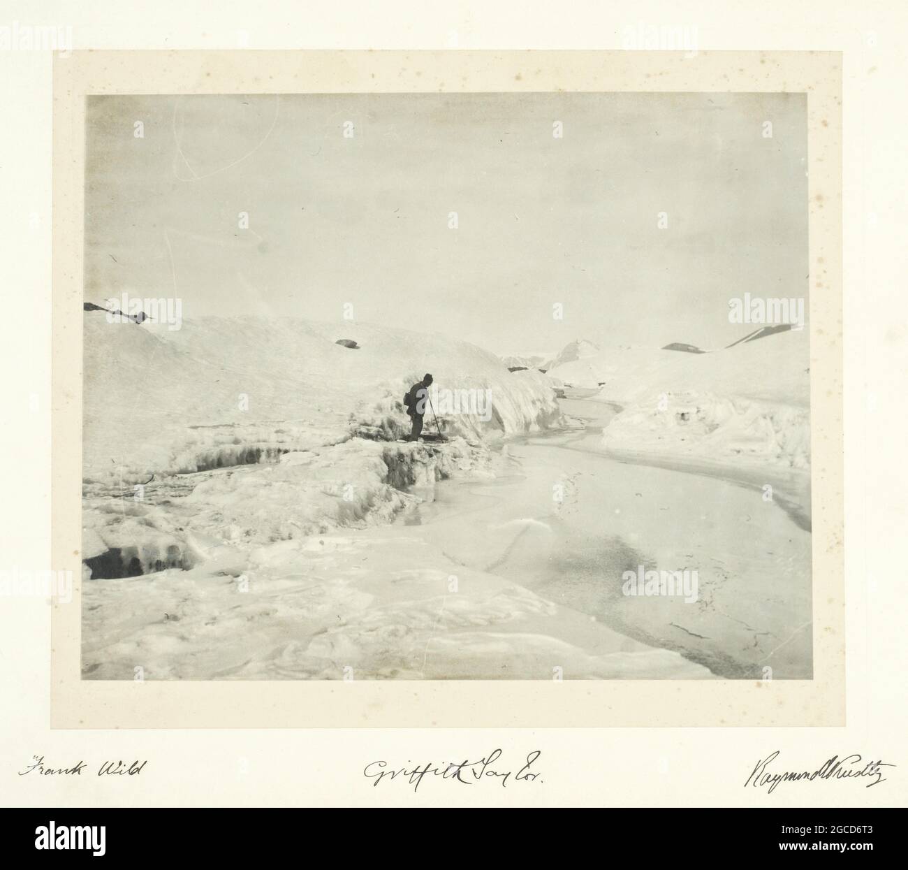 photo, archive, photograph, photography, background, memory, vintage ...