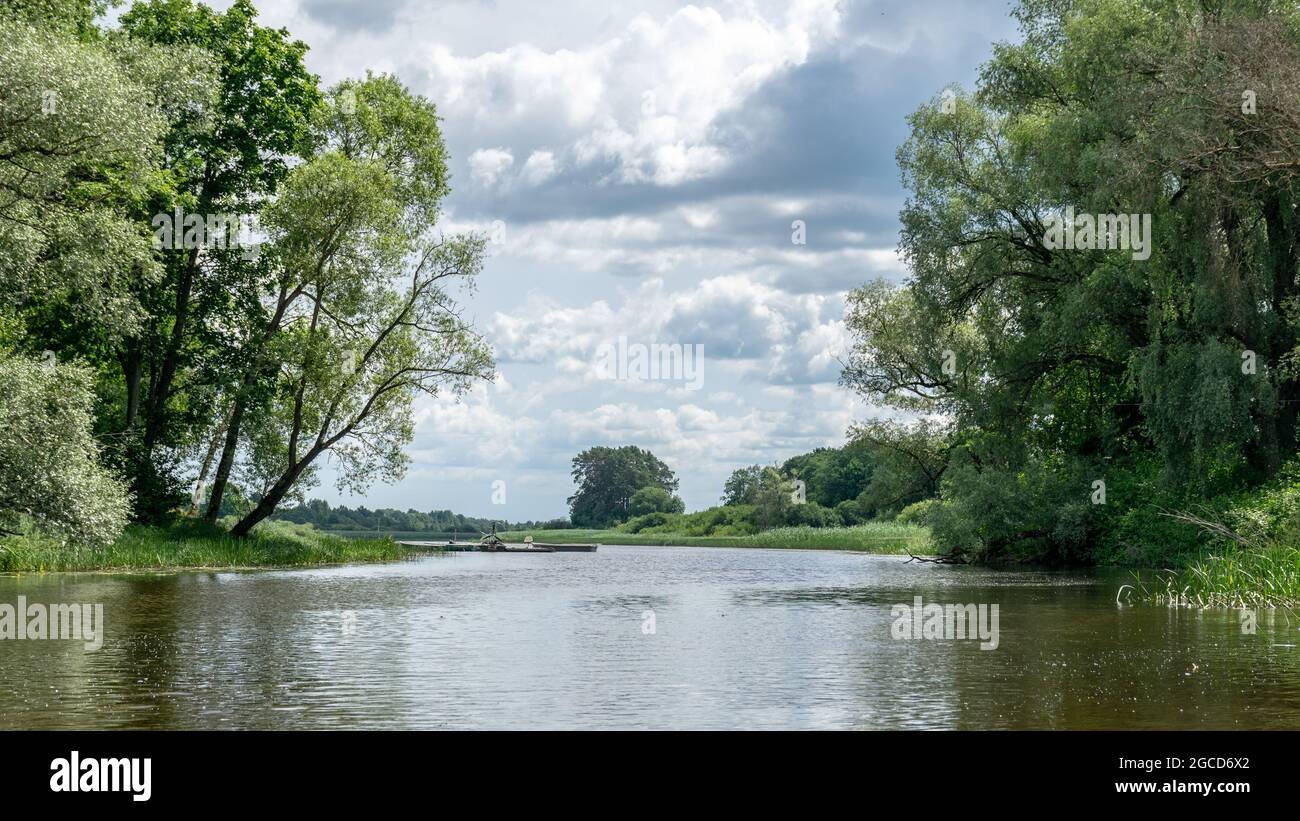 beautiful summer landscape with the source of the river from the lake ...