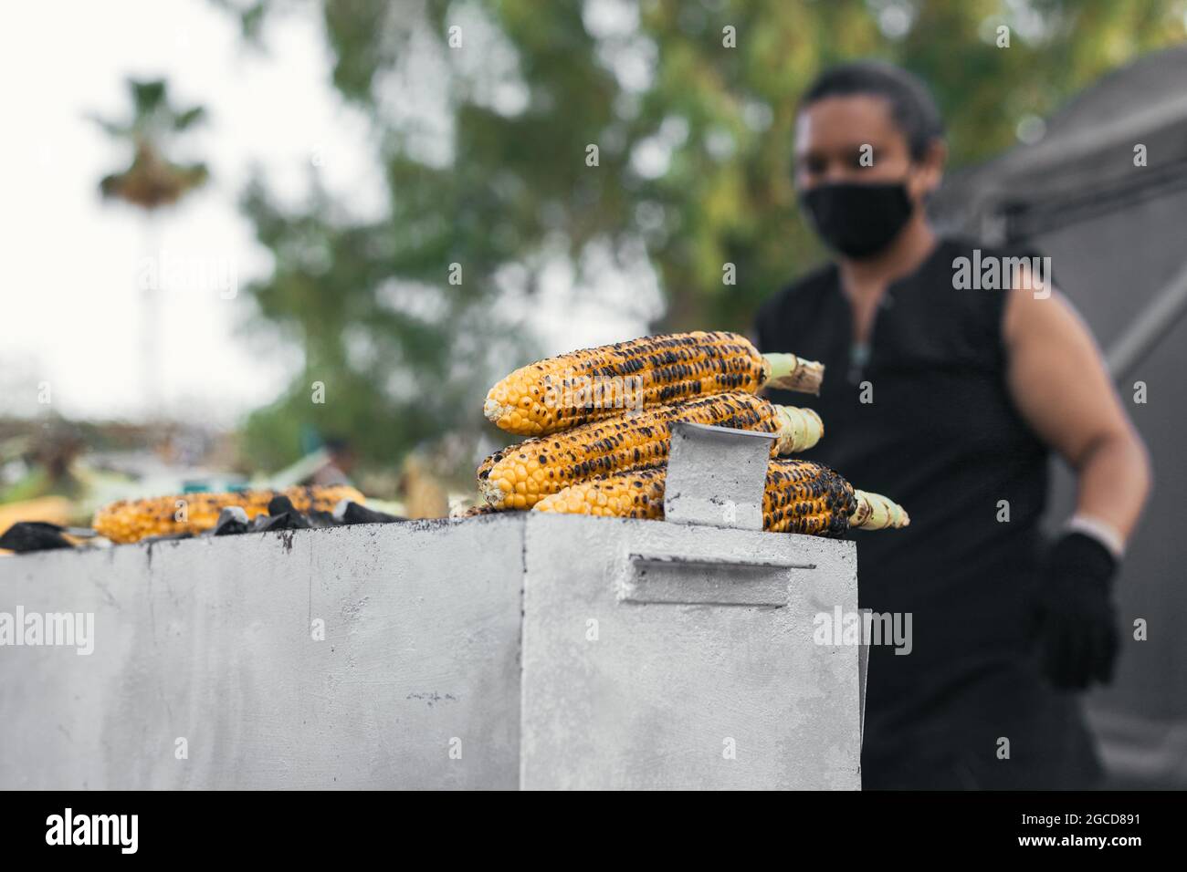 Some roasted corn cobs at a street food stall Stock Photo - Alamy