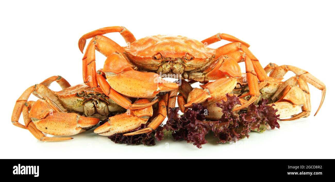 Boiled crabs isolated on white Stock Photo - Alamy