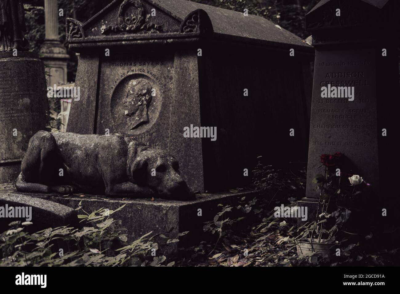 Victorian tomb with carved stone lion at Highgate Cemetery Stock Photo ...