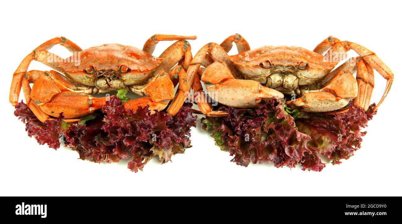 Boiled crabs isolated on white Stock Photo - Alamy
