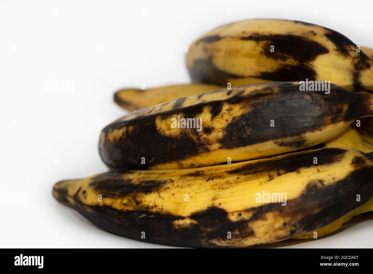 Closeup Image Of Kerala Ripen Ethapazham Or Plantain Banana. Also Known ...