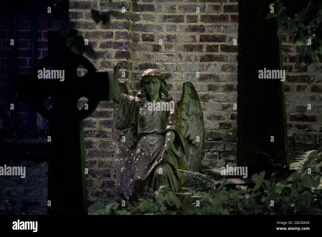 Weathered angel statue in overgrown Victorian cemetery with brick wall ...