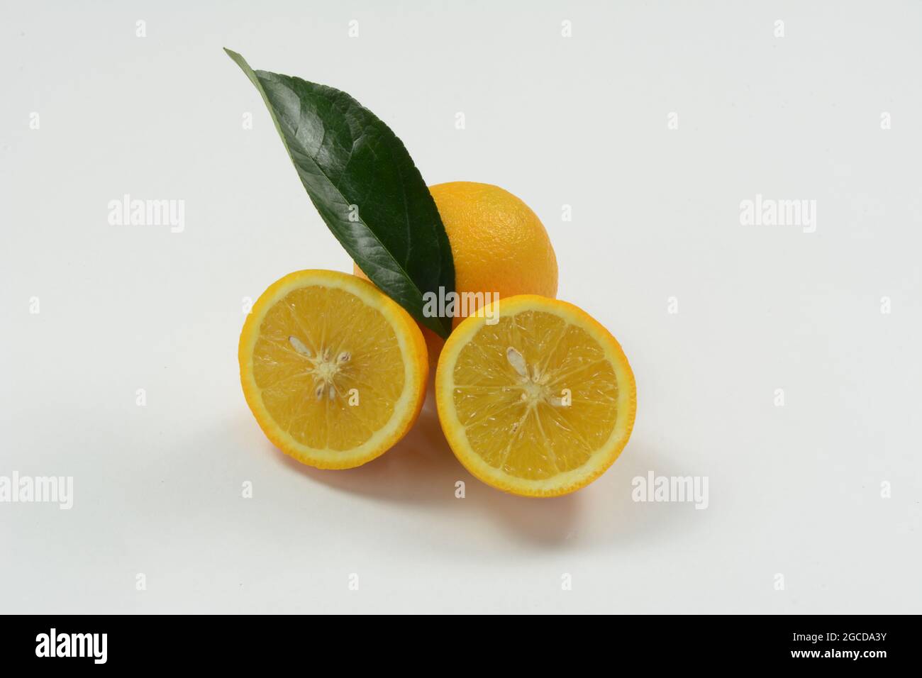 a whole orange with leaf and two orange fruit bands, front view Stock ...
