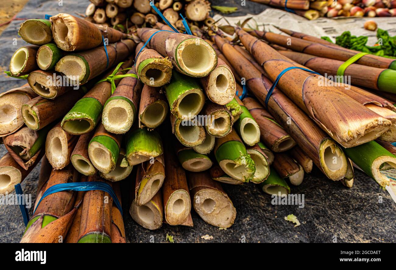 pills of bamboo trunk edible sticks many for sale from low angle at day ...