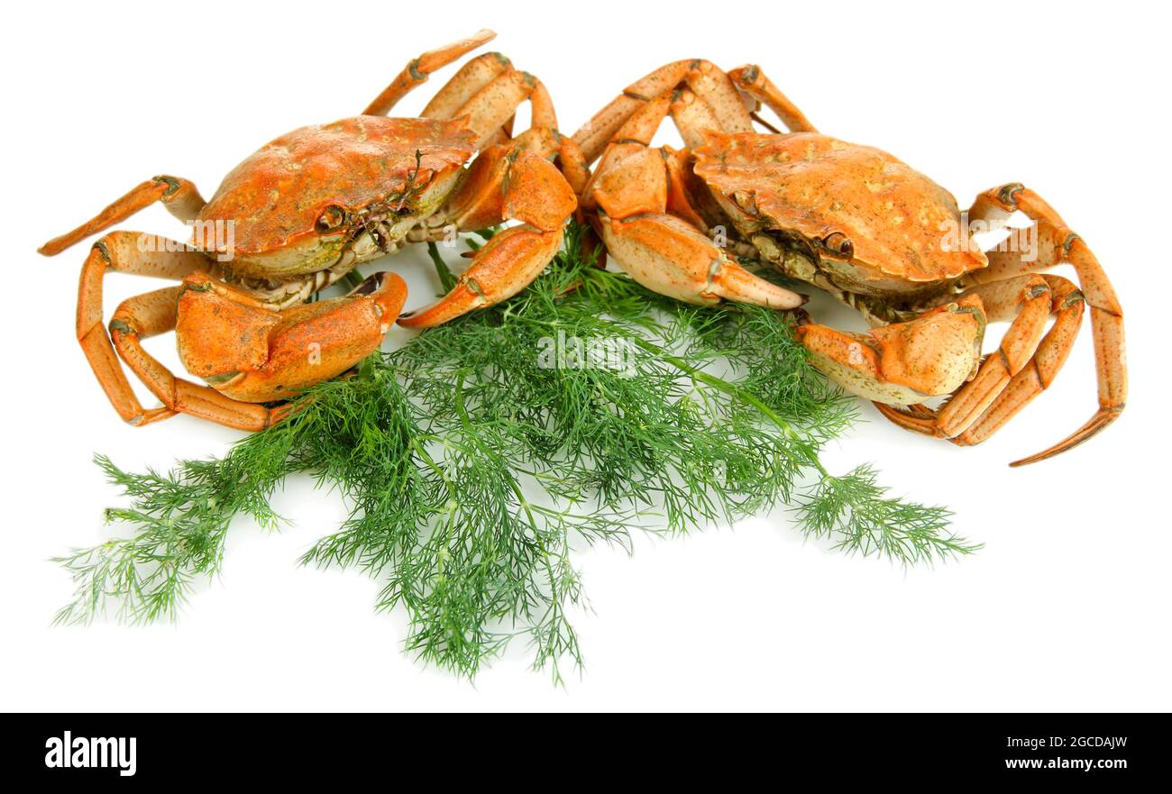 Boiled crabs isolated on white Stock Photo - Alamy