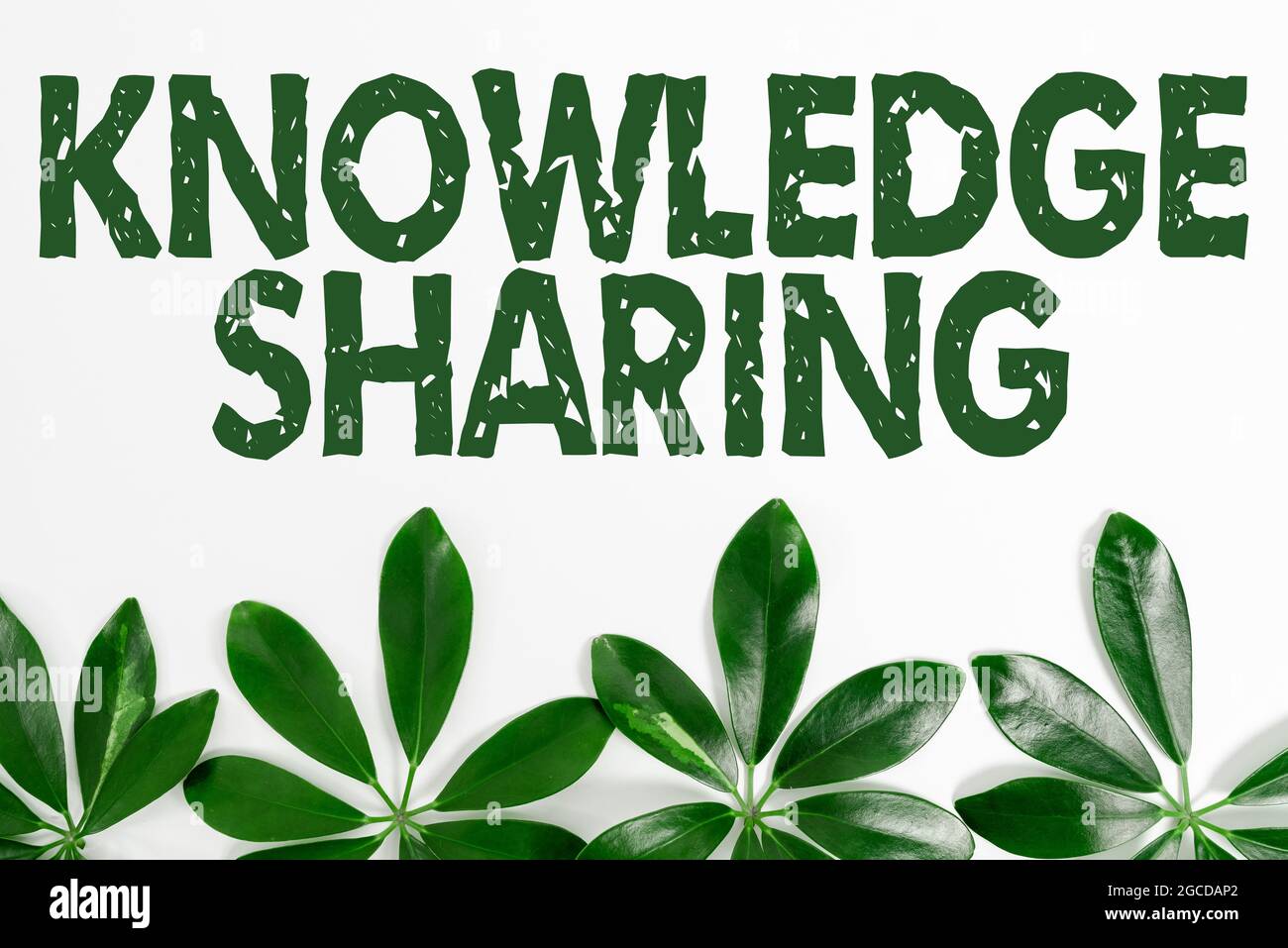 Text caption presenting Knowledge Sharing. Business concept deliberate ...