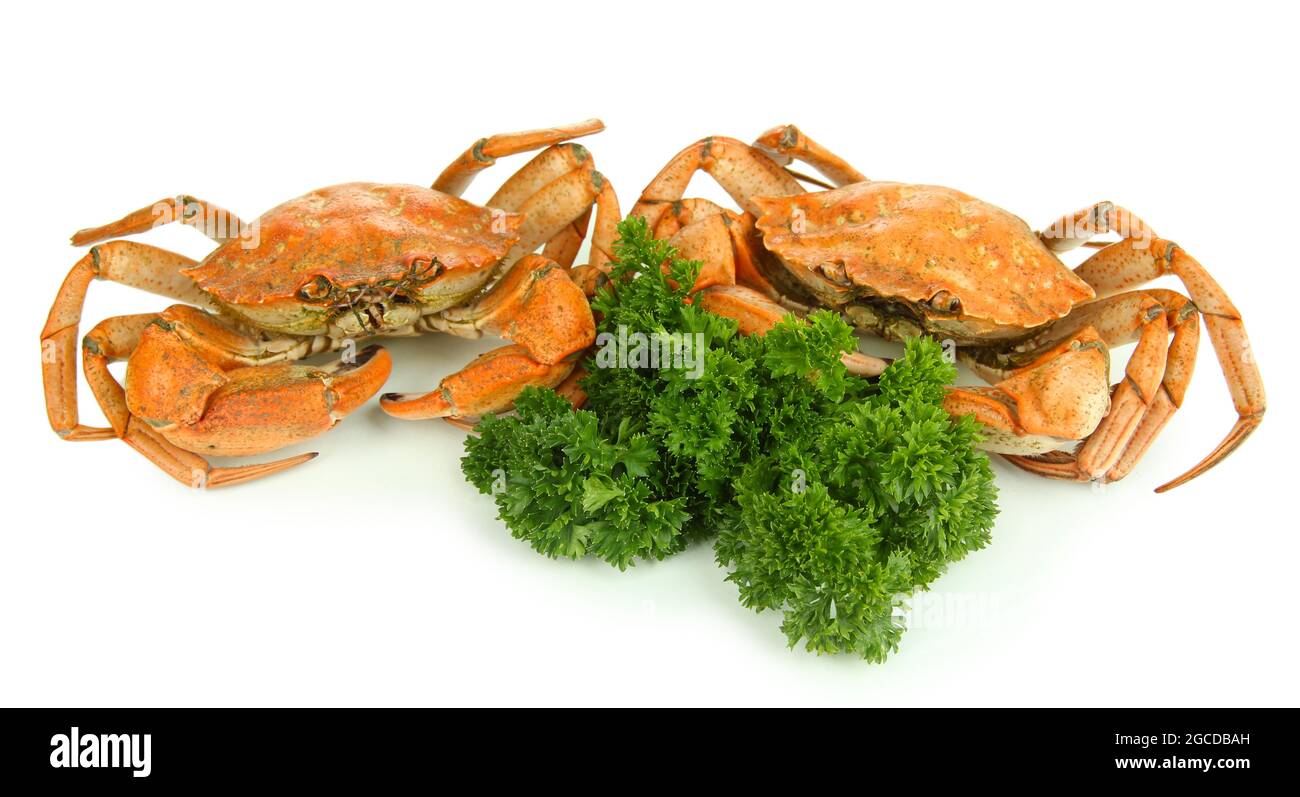 Boiled crabs isolated on white Stock Photo - Alamy