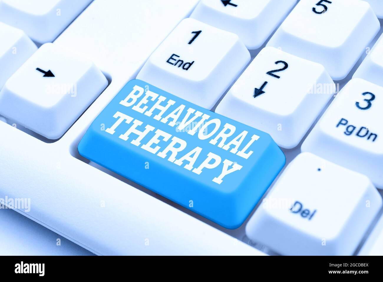 Sign displaying Behavioral Therapy. Business showcase help change ...