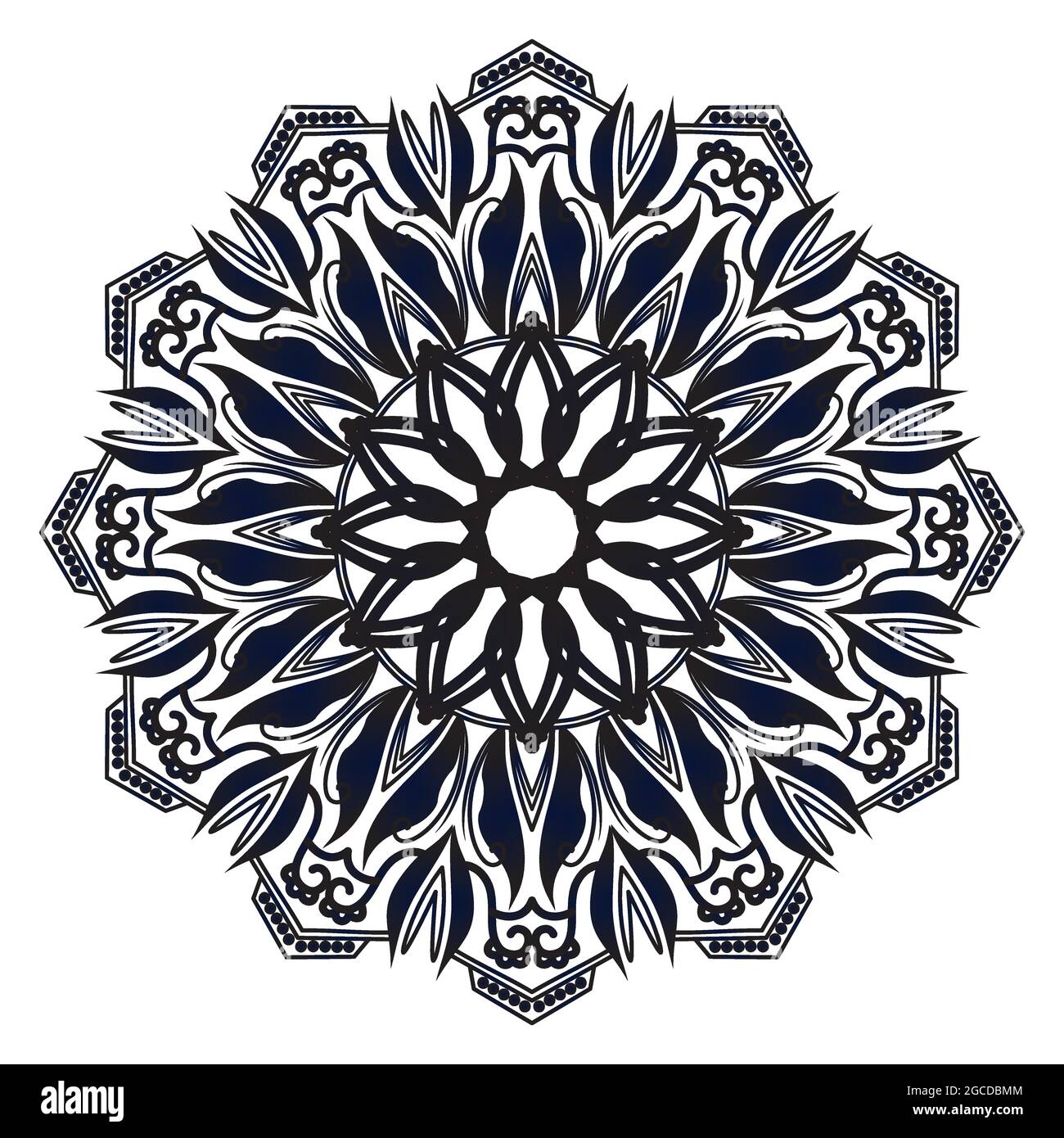 elegant round medallion persian mandala geometric vector islamic ...