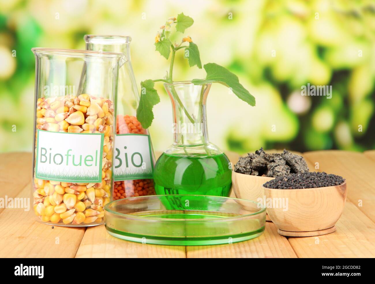 Conceptual photo of bio fuel. On bright background Stock Photo - Alamy