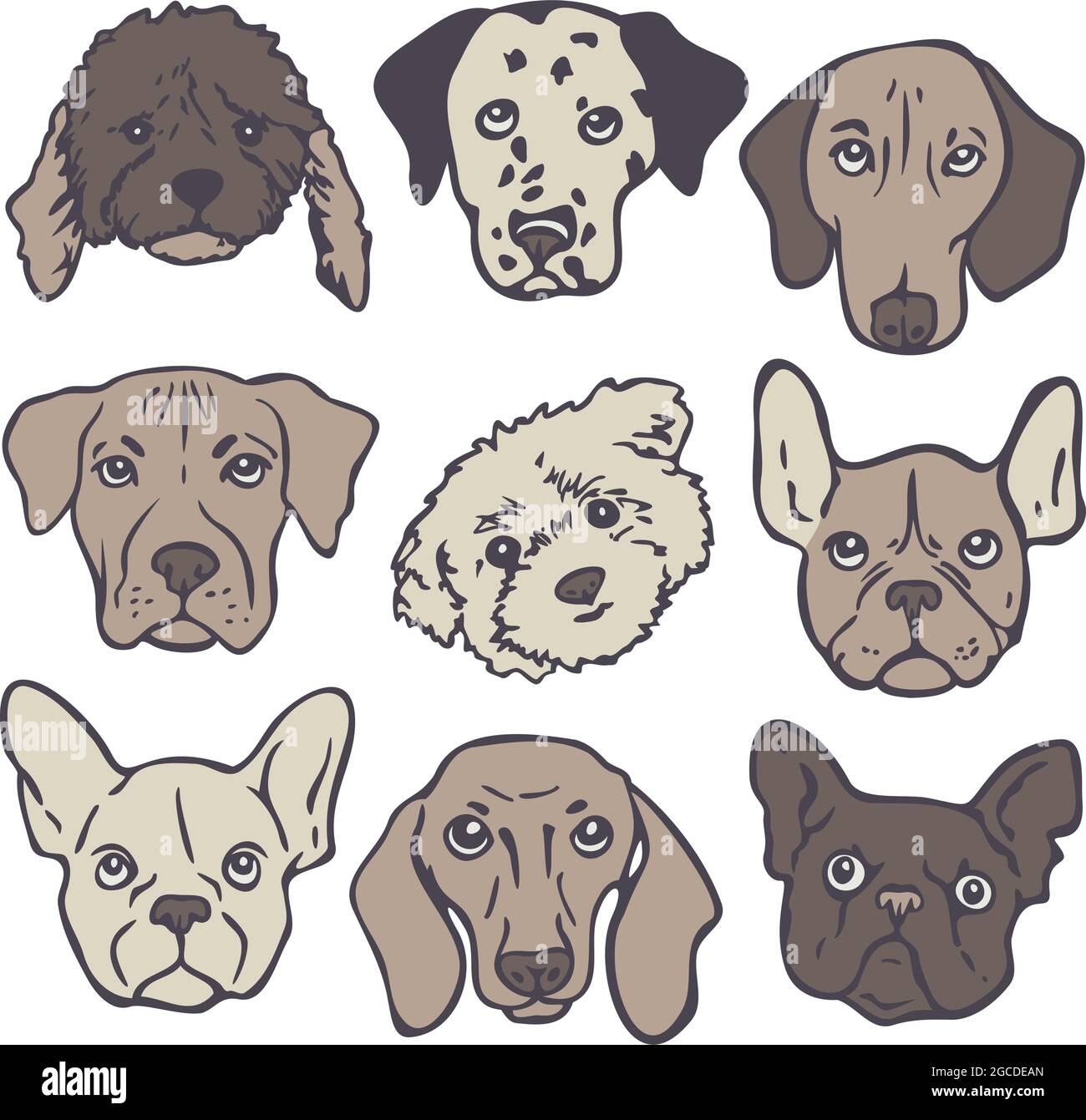 Vector illustration set with dog faces of different breeds. Collection ...