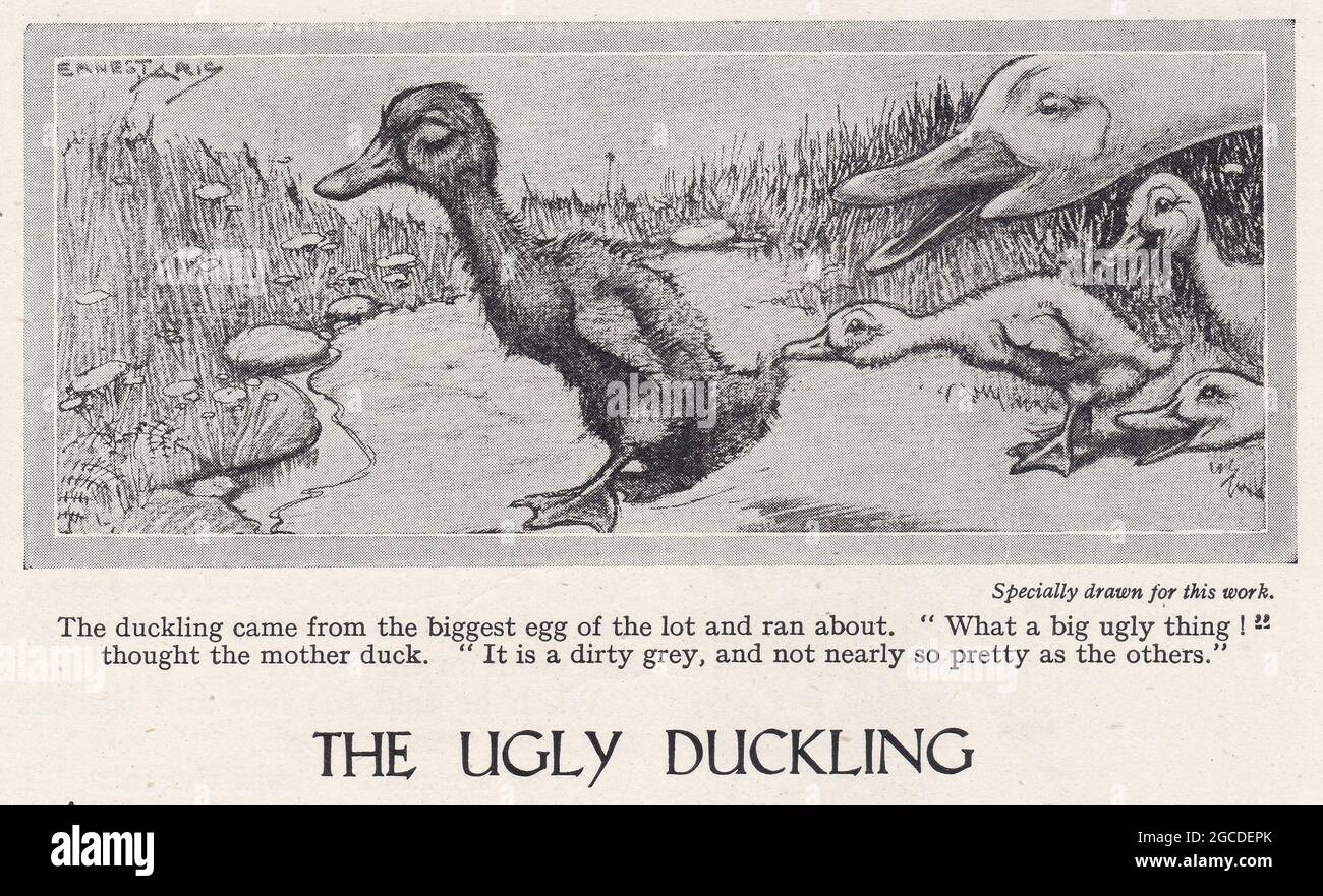 The Ugly Duckling Drawing