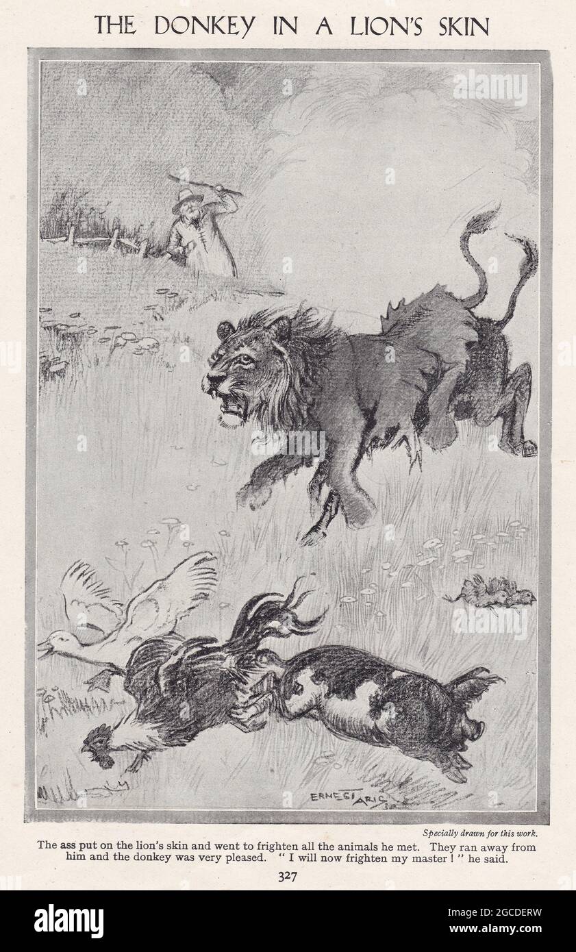 The donkey in a lions skin hi-res stock photography and images - Alamy