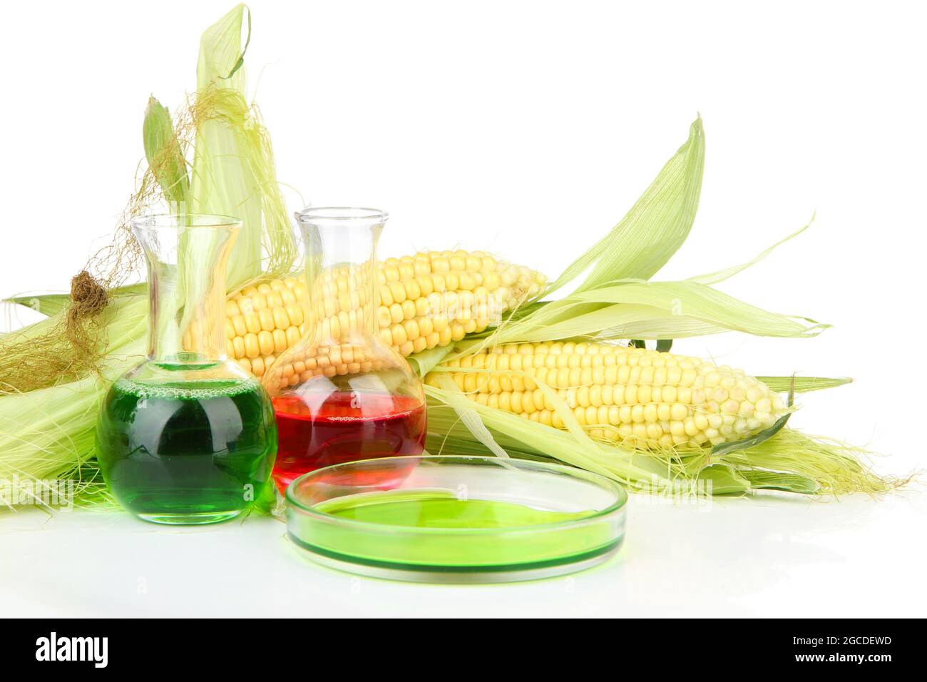 Conceptual photo of bio fuel from corn. Isolated on white Stock Photo ...