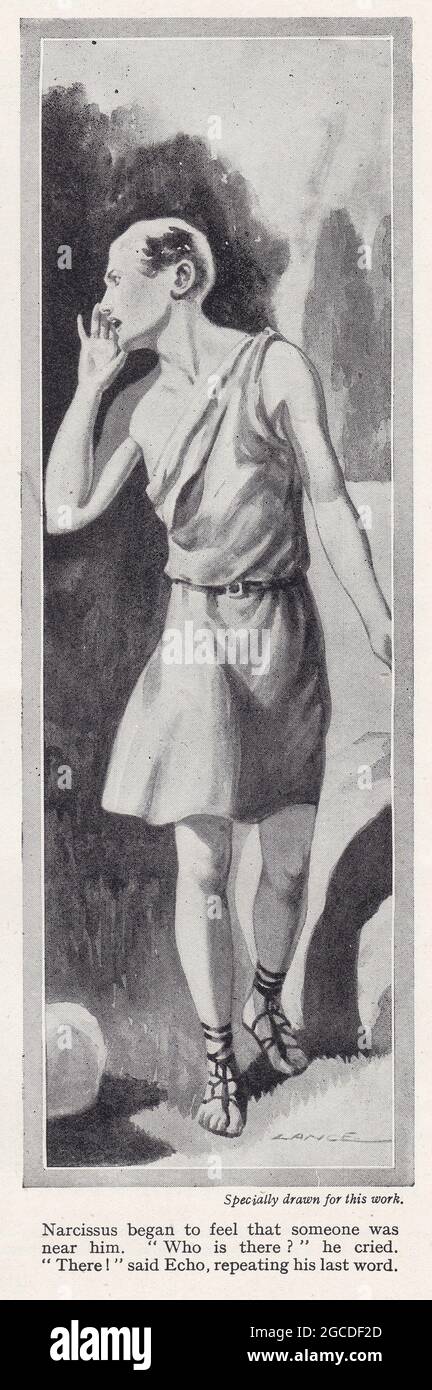 Greek narcissus drawing hi-res stock photography and images - Alamy