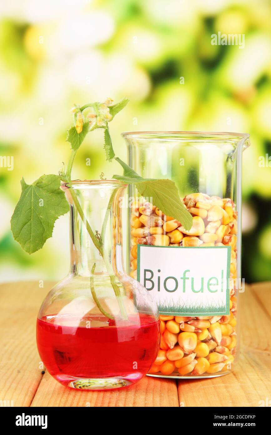 Conceptual photo of bio fuel. On bright background Stock Photo - Alamy