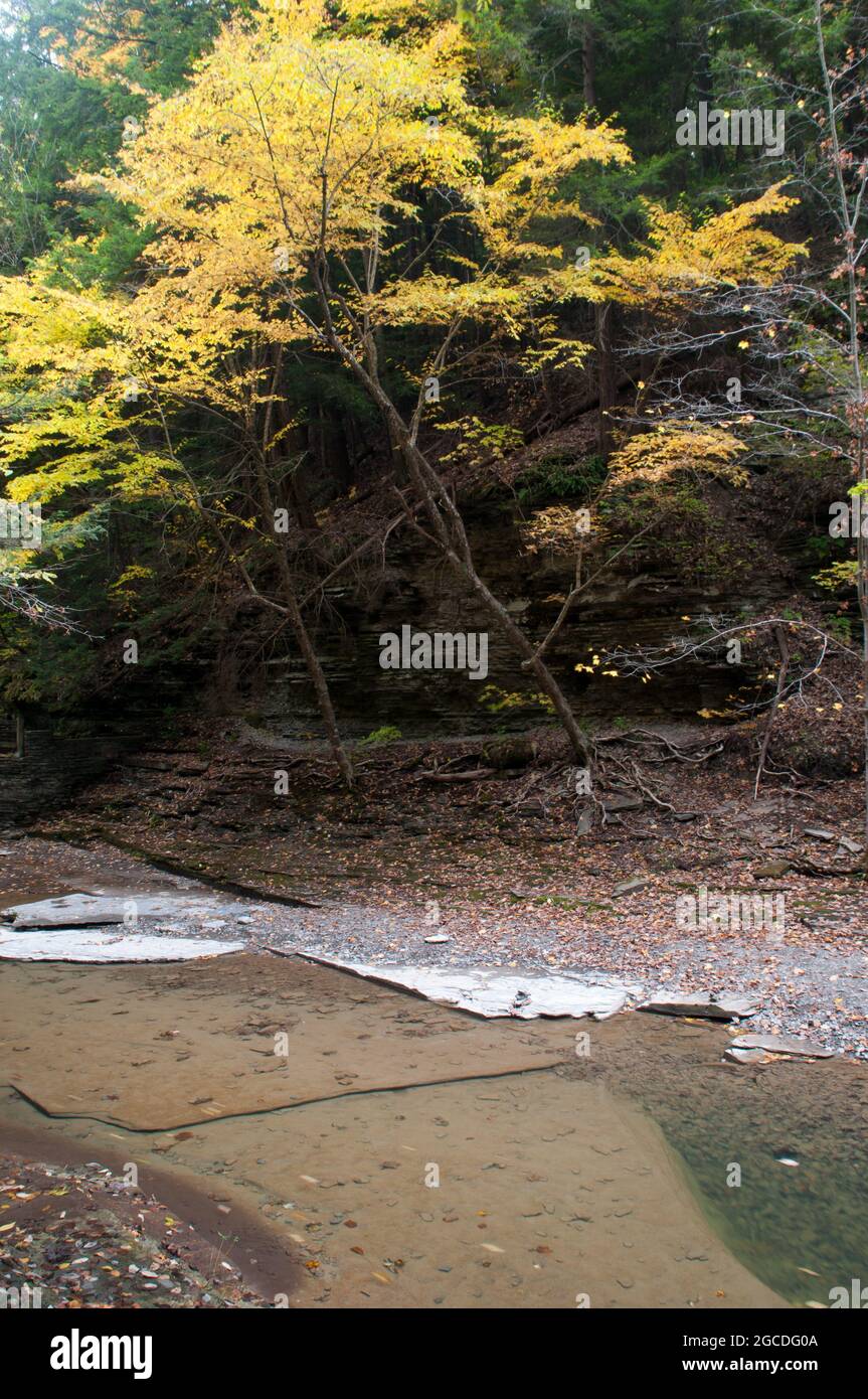 Colorful autum trees leaves hi-res stock photography and images - Alamy